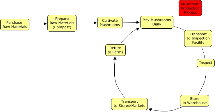 Mushroom Production Process